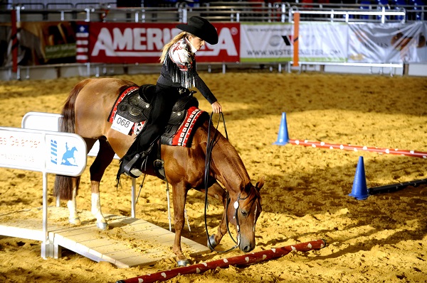 AMERICANA 2019: Pattern sind online für EUR 5.000-added European ...