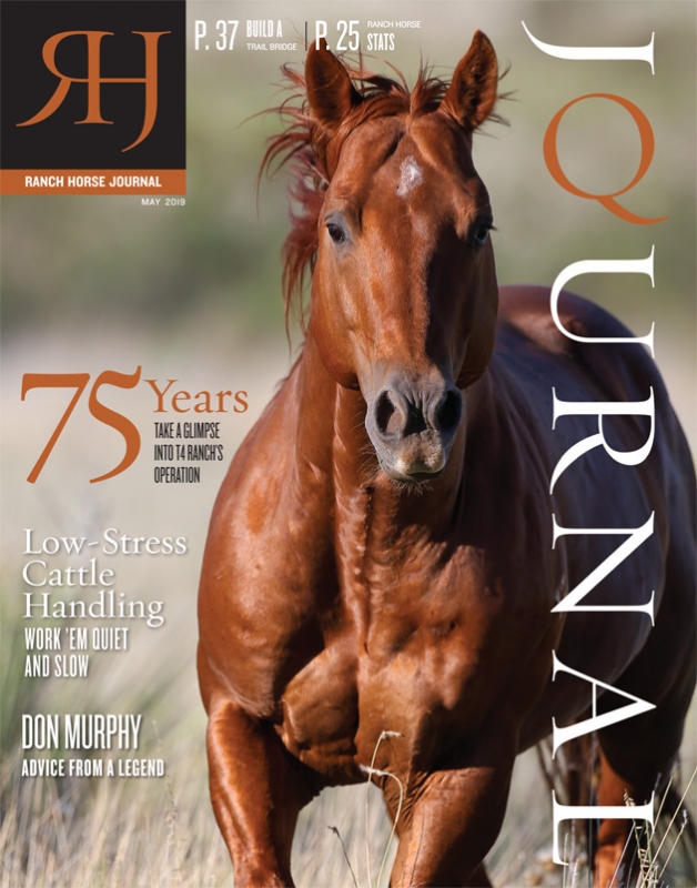 AQHA: Die aktuellen Ausgaben des Ranch Horse Journal und Performance ...