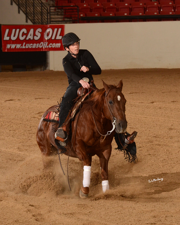 Erste Para-Reining Wettbewerbe in Deutschland und Österreich ...
